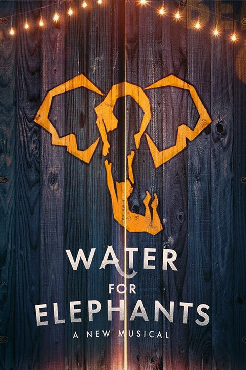 Water For Elephants Poster